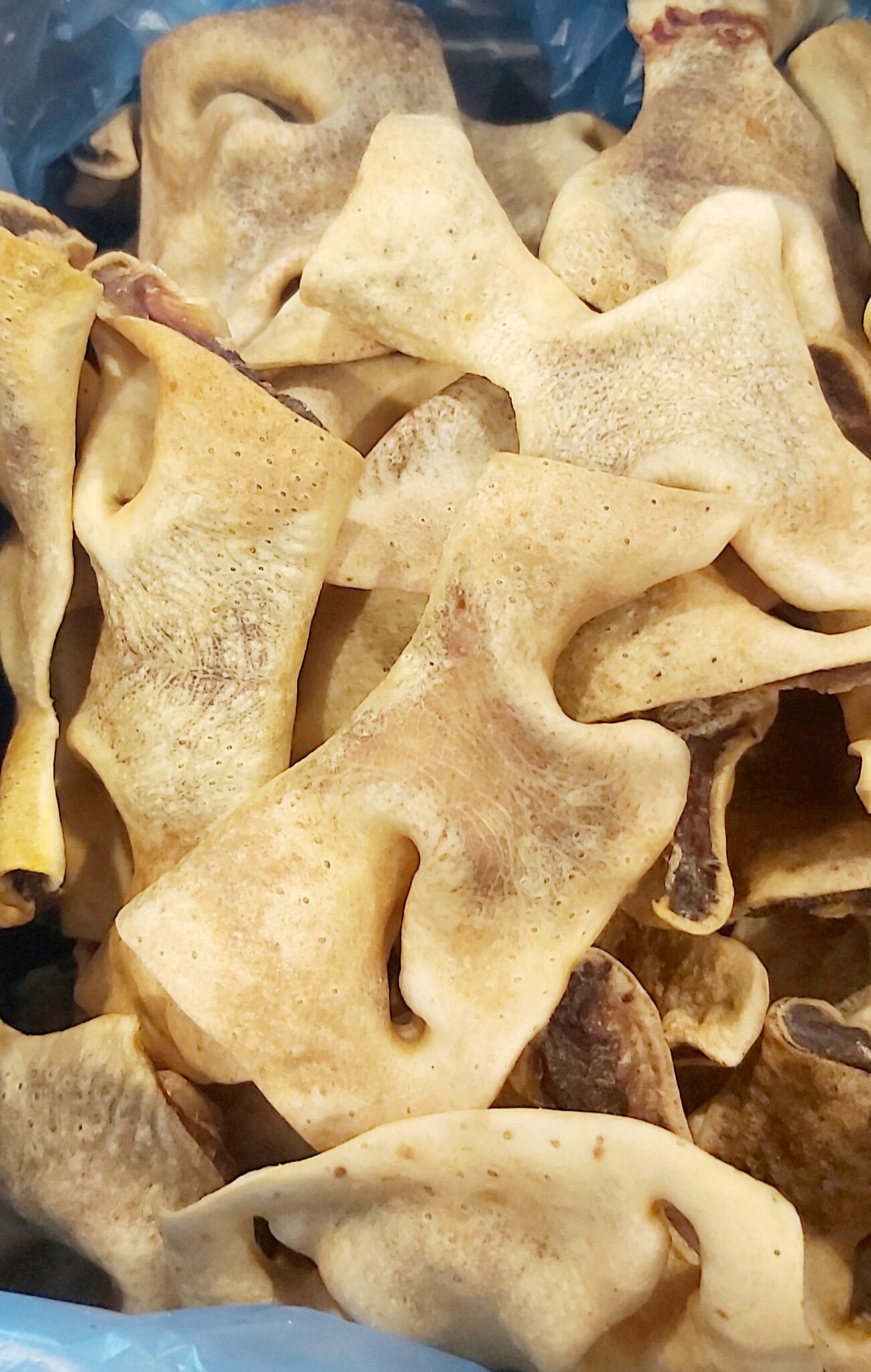 Buy Dog Supplies and Treats Online At Reasonable Prices
