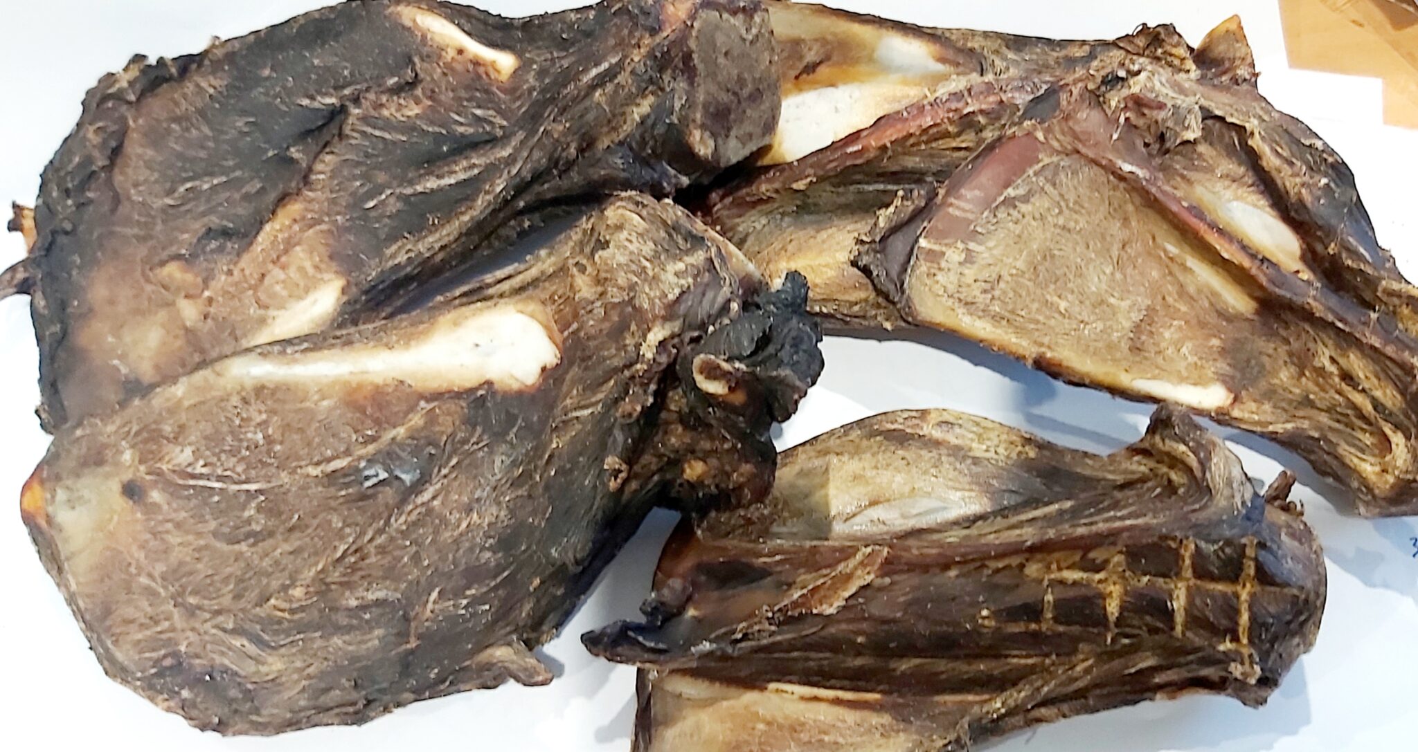 Kangaroo Dog Treats Online | Natural Low Fat Kangaroo Dog Treats