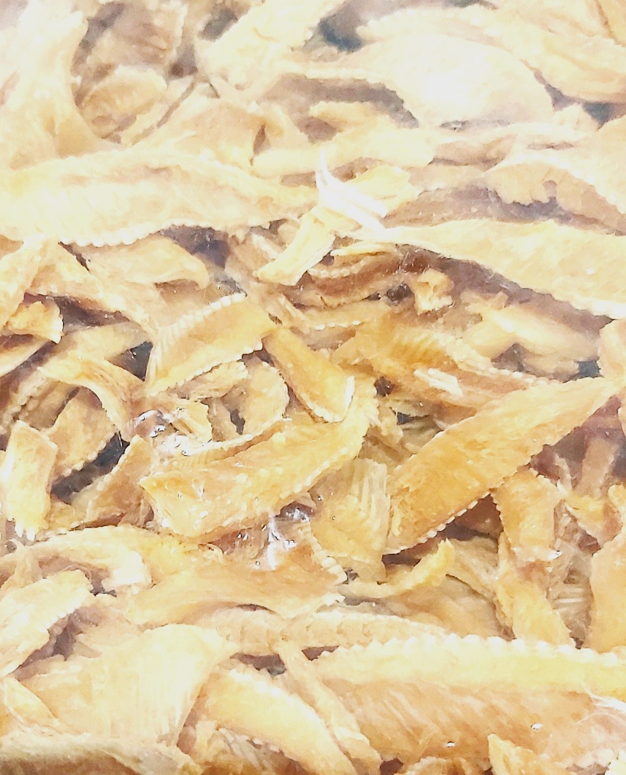 Shark Dorsal Fin no skin Australia 1kg bag Cartilage Knuckle - Discount ...